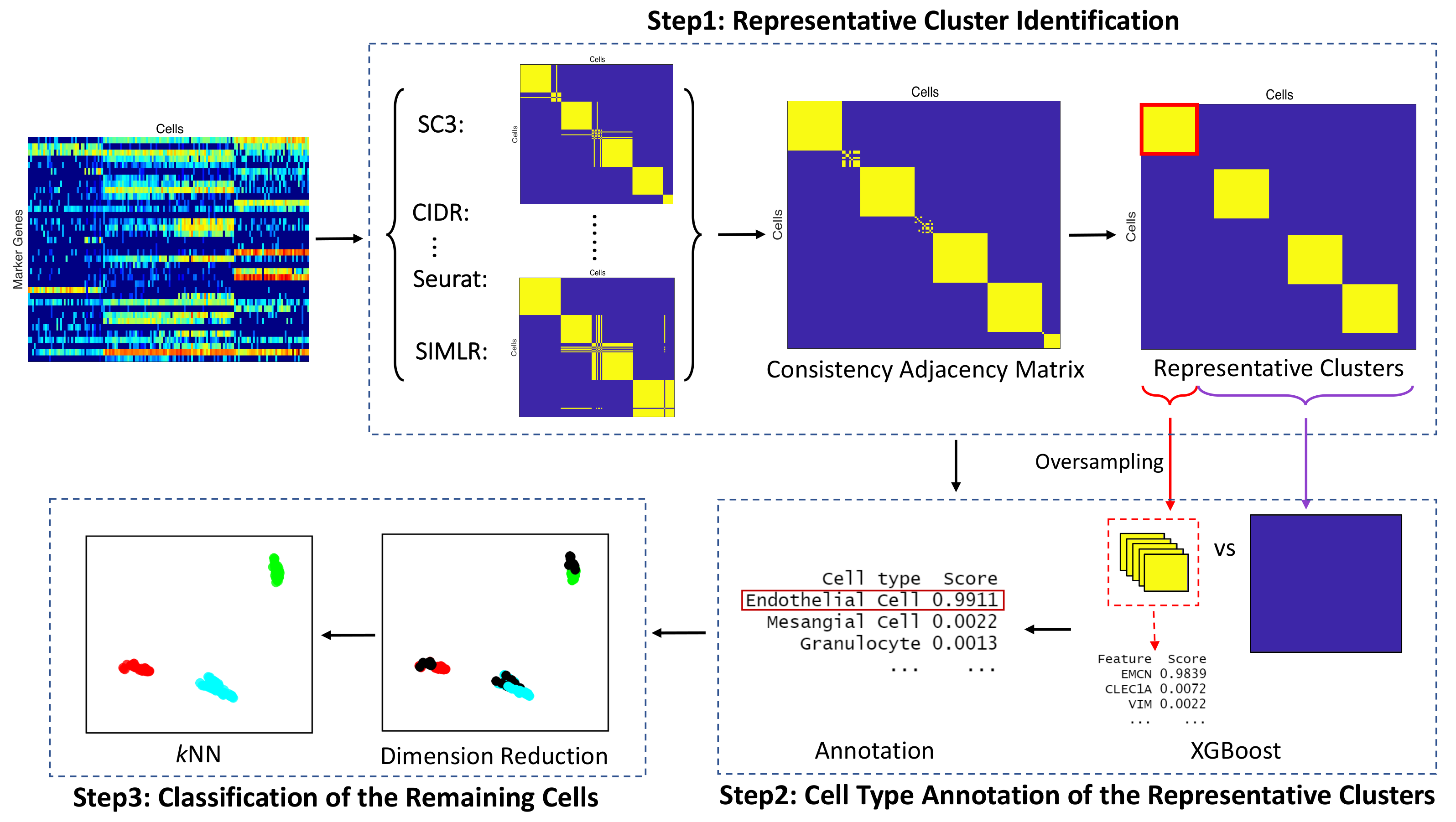 Automatic Cell Type Annotation Using Marker Genes for Single-Cell RNA Sequencing Data