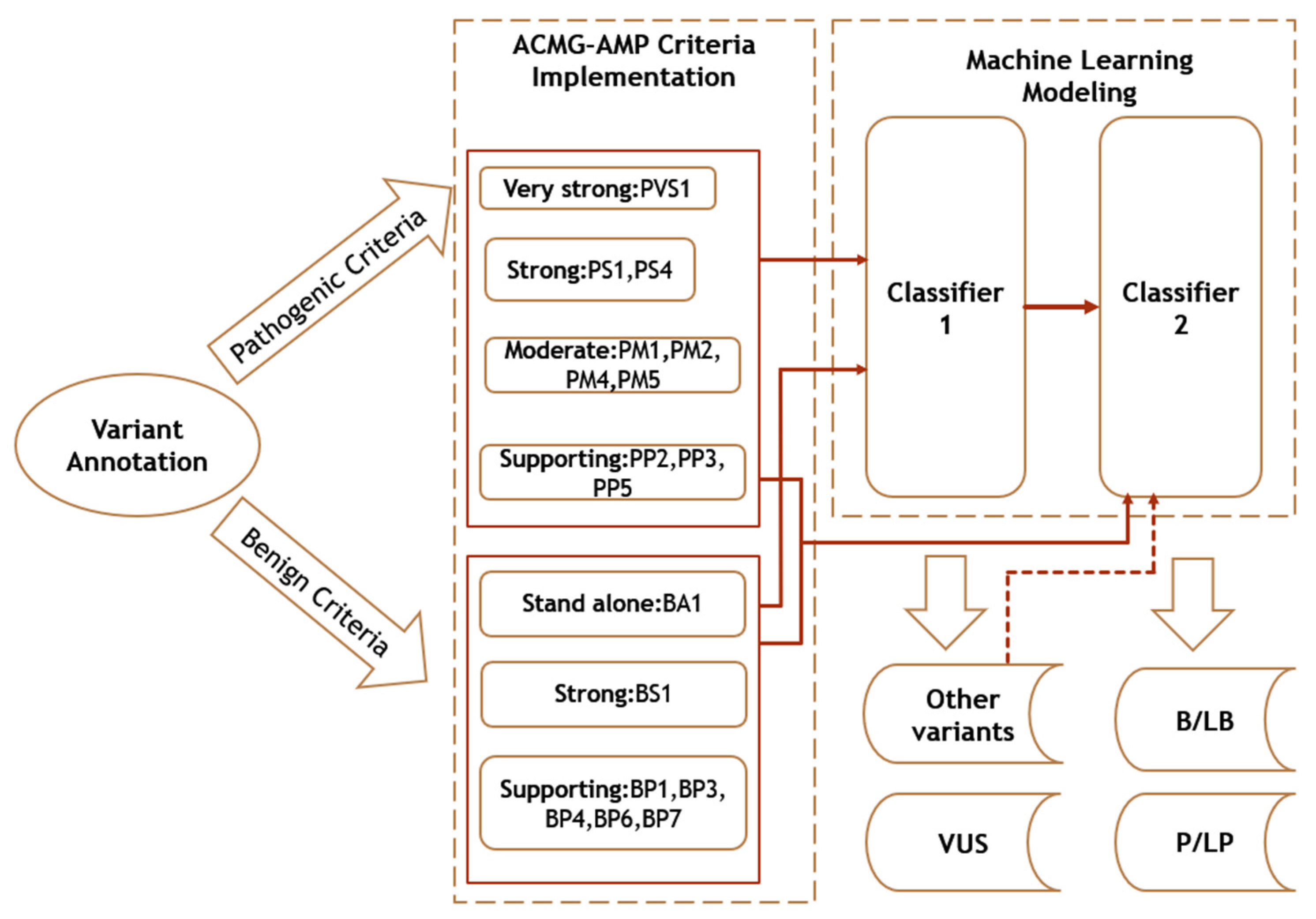 MARGINAL: An Automatic Classification of Variants in BRCA1 and BRCA2 Genes Using a Machine ...