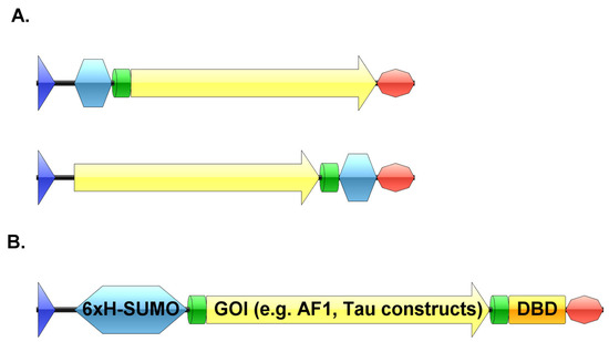 Biomolecules | Free Full-Text | A Novel Tandem-Tag Purification ...