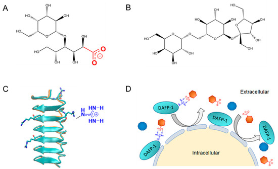 Submilligram Level of Beetle Antifreeze Proteins Minimize Cold-Induced ...