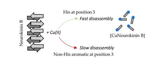 Biomolecules | Free Full-Text | Essential Role of Histidine for Rapid ...