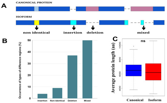 The Difference in Structural States between Canonical Proteins and ...