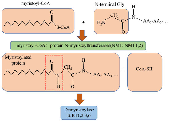 Post-Translational Modifications by Lipid Metabolites during the DNA ...