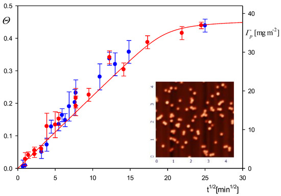 Mimicking Pseudo-Virion Interactions with Abiotic Surfaces: Deposition ...