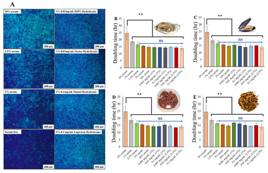 Evaluating the Potential of Marine Invertebrate and Insect Protein ...