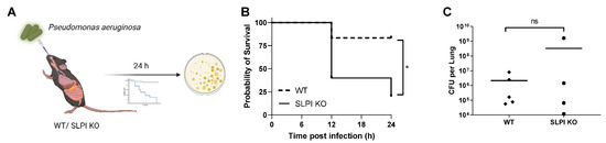 Secretory Leucoprotease Inhibitor (SLPI) Promotes Survival during Acute ...