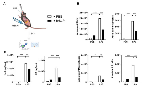 Secretory Leucoprotease Inhibitor (SLPI) Promotes Survival during Acute ...