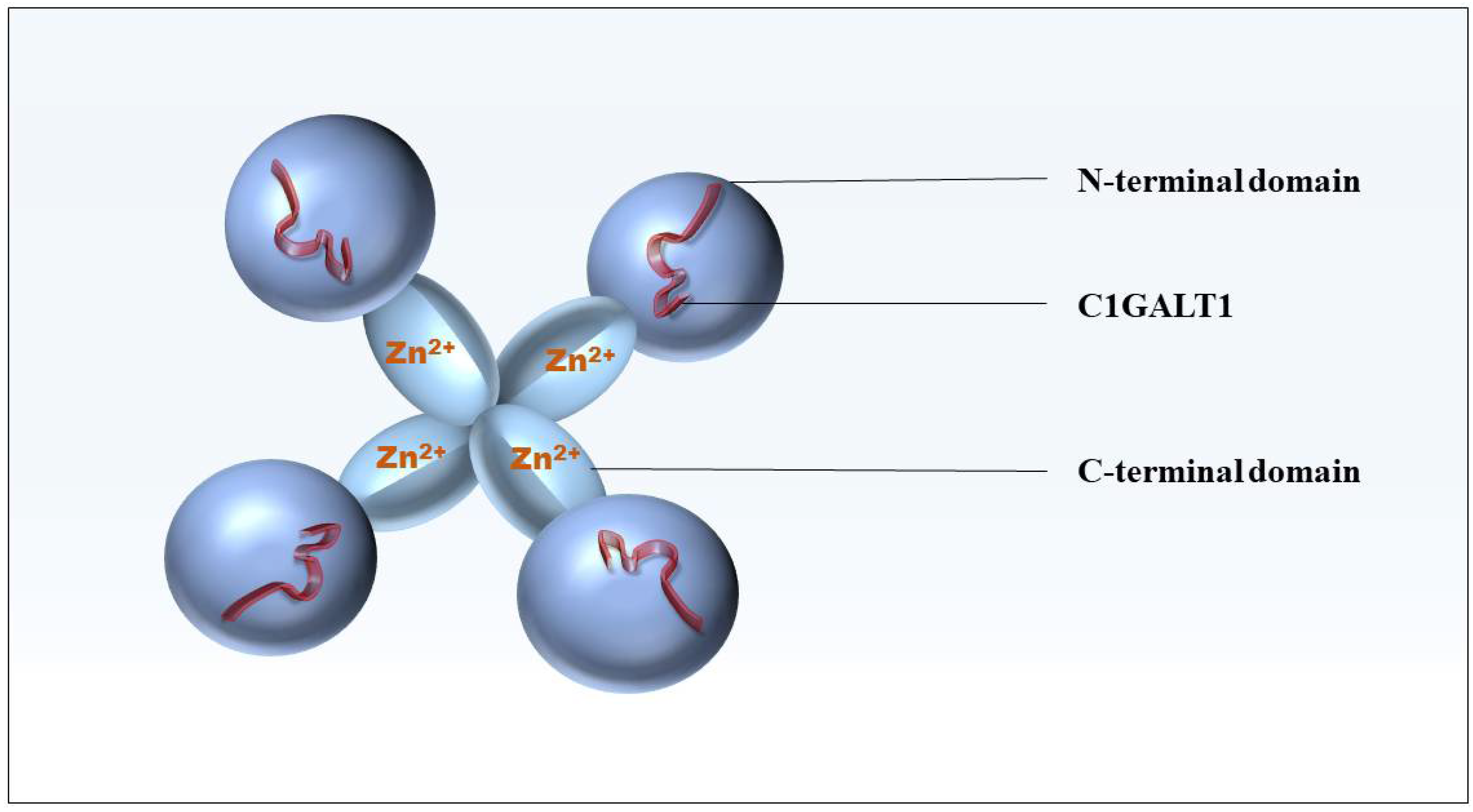 Emerging Roles of the Unique Molecular Chaperone Cosmc in the ...