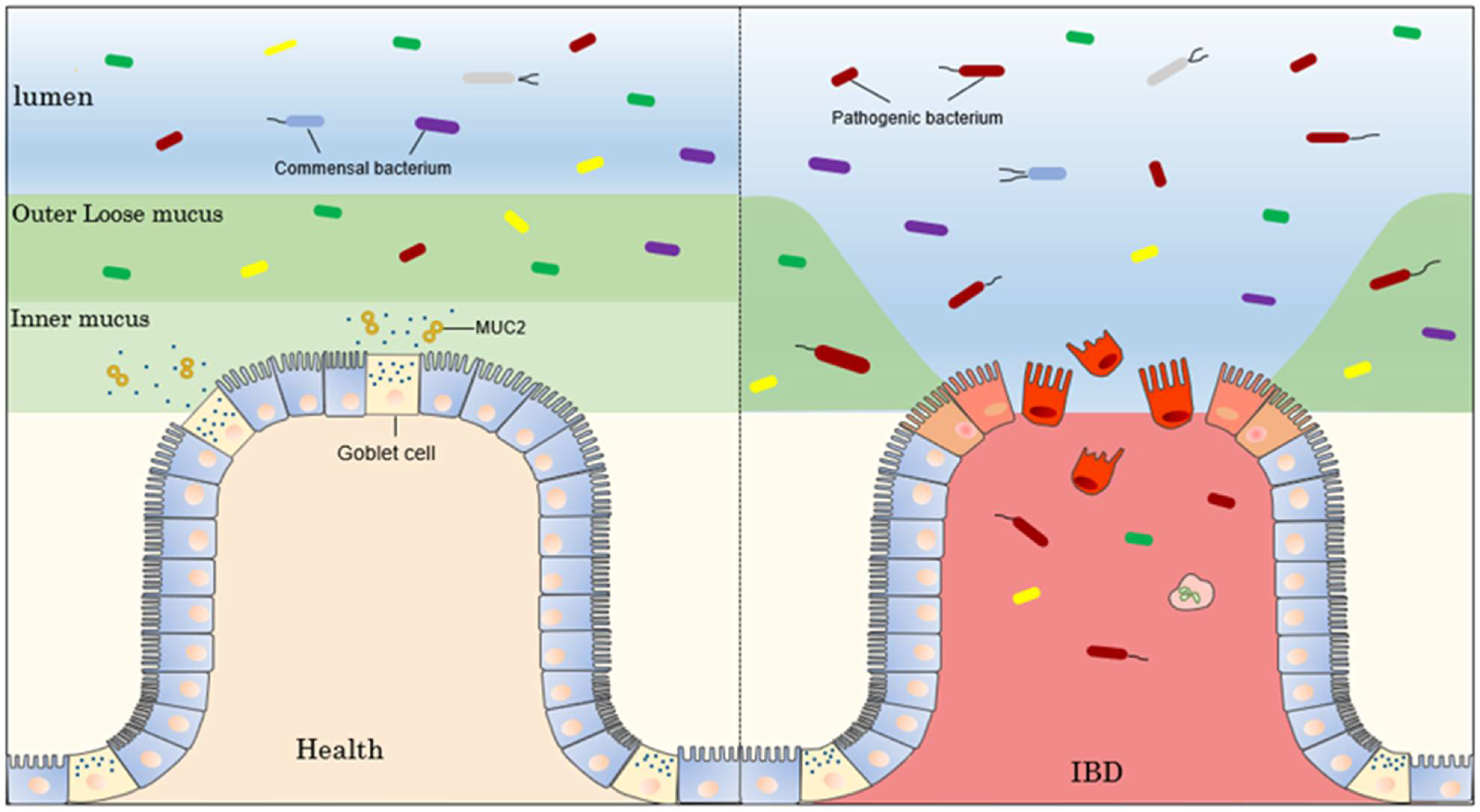 Emerging Roles of the Unique Molecular Chaperone Cosmc in the ...