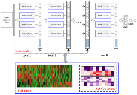 Developing an Improved Survival Prediction Model for Disease Prognosis