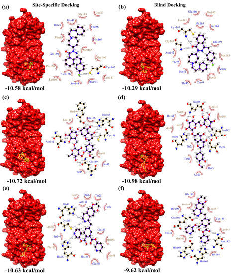Structure-Based Virtual Screening and Functional Validation of ...
