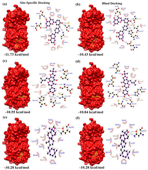 Structure-Based Virtual Screening and Functional Validation of ...