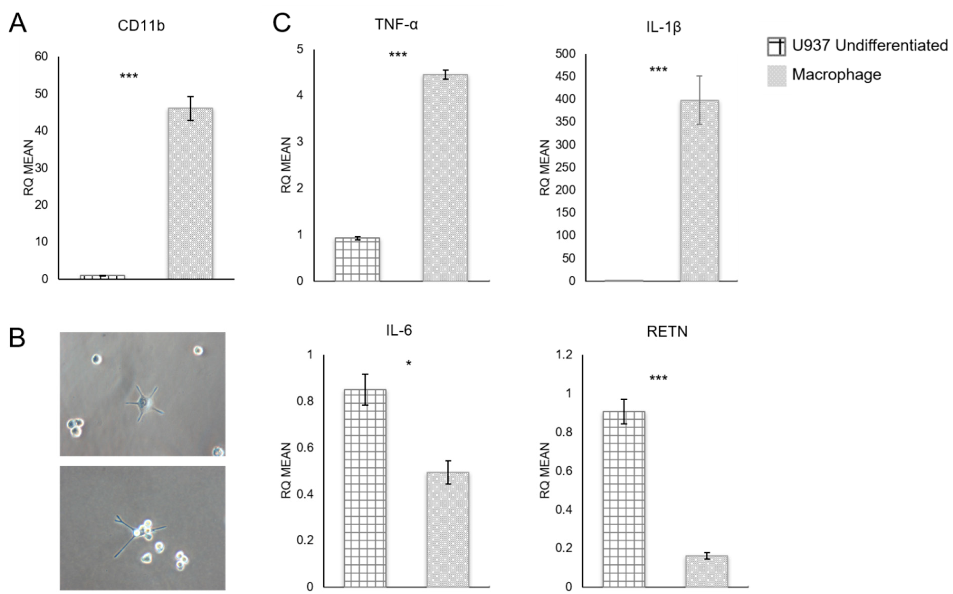 Macrophage-Conditioned Media Promotes Adipocyte Cancer Association ...
