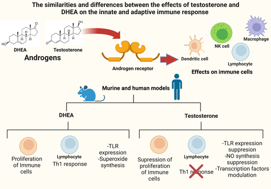 Biomolecules Free Full Text The Similarities And Differences