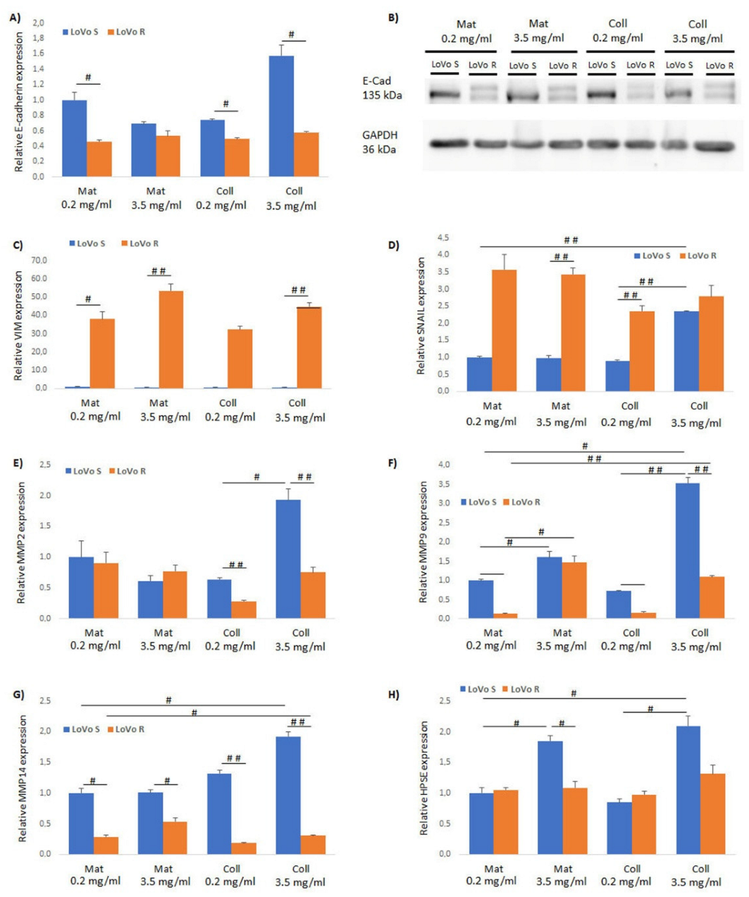 Substrate Type and Concentration Differently Affect Colon Cancer Cells ...