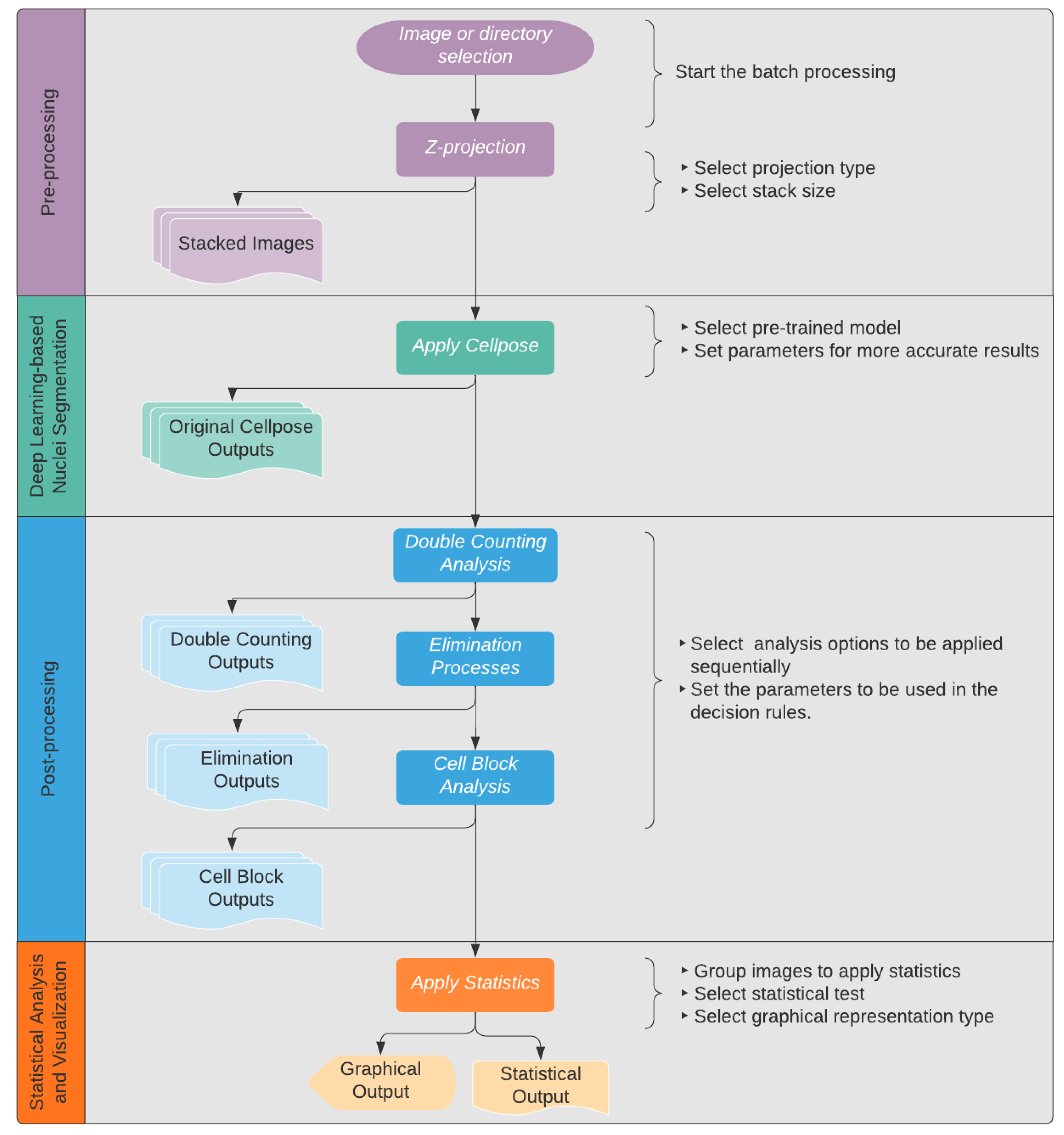 Biomolecules | Free Full-Text | Deetect: A Deep Learning-Based Image ...