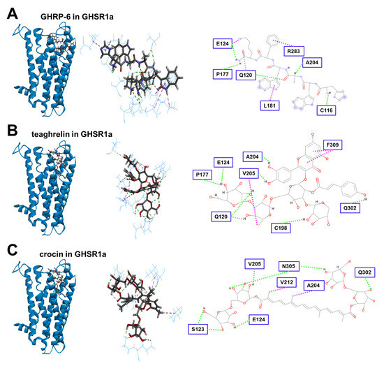 Establishment of a Cell Line Stably Expressing the Growth Hormone ...