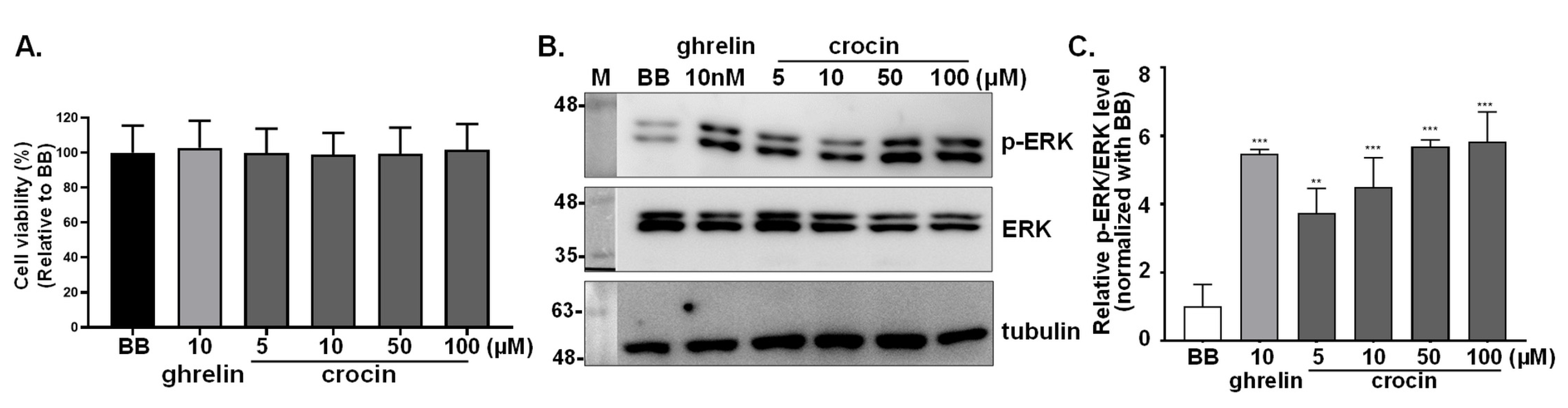 Establishment of a Cell Line Stably Expressing the Growth Hormone ...