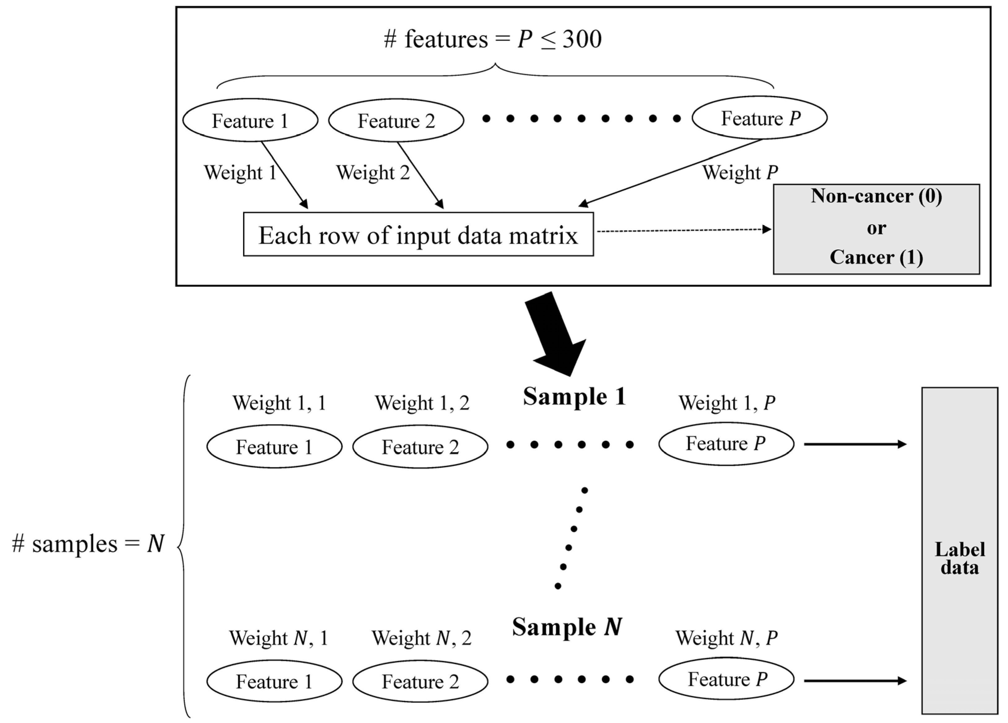 Biomolecules Free Full Text Deep Learning Algorithm And Concomitant Biomarker Identification