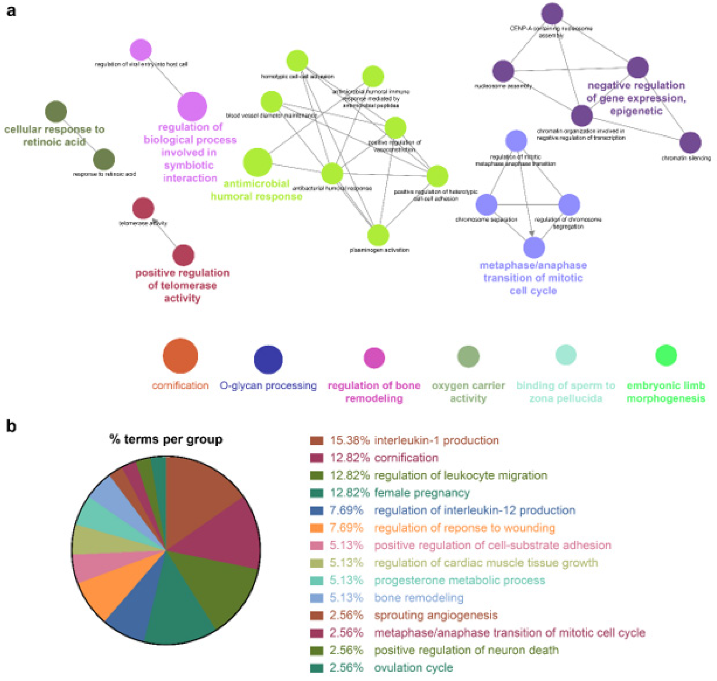 Deep-Learning Algorithm and Concomitant Biomarker Identification for NSCLC Prediction Using ...