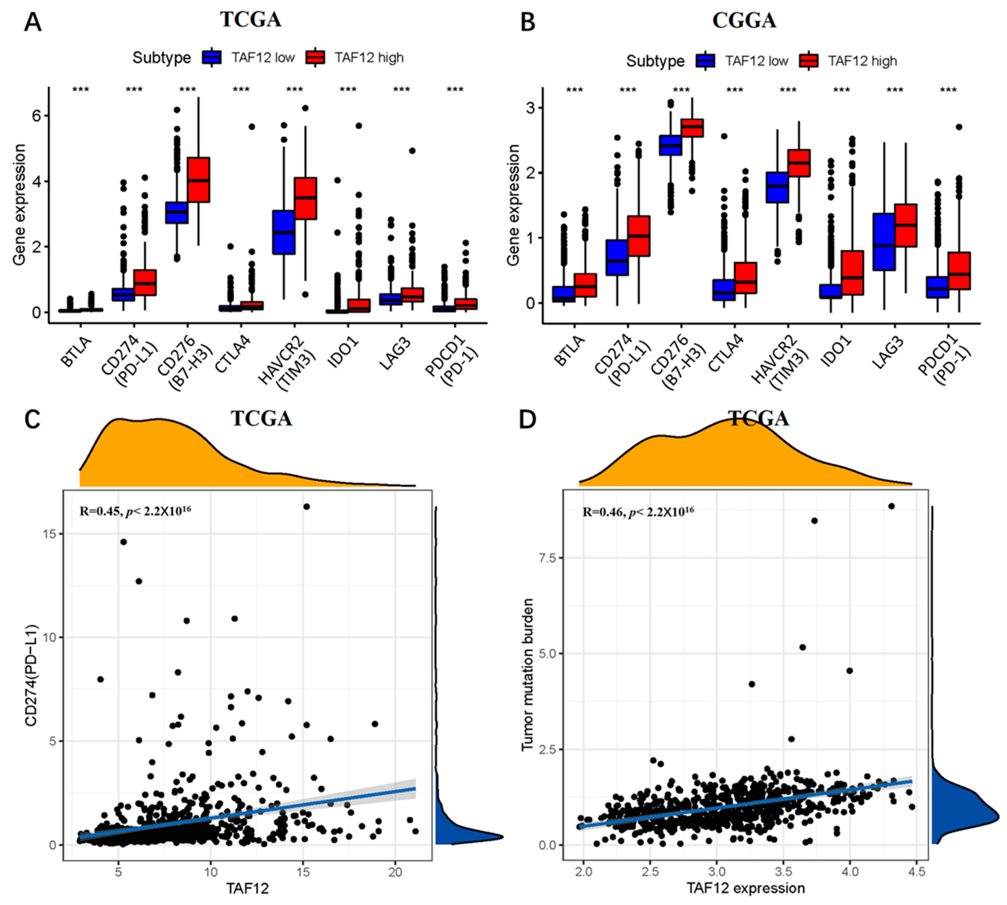 Elevated TAF12 Expression Predicts Poor Prognosis in Glioma Patients ...