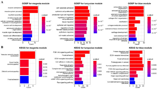 TGF-β Pathways Stratify Colorectal Cancer into Two Subtypes with ...