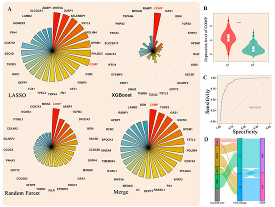 TGF-β Pathways Stratify Colorectal Cancer into Two Subtypes with ...