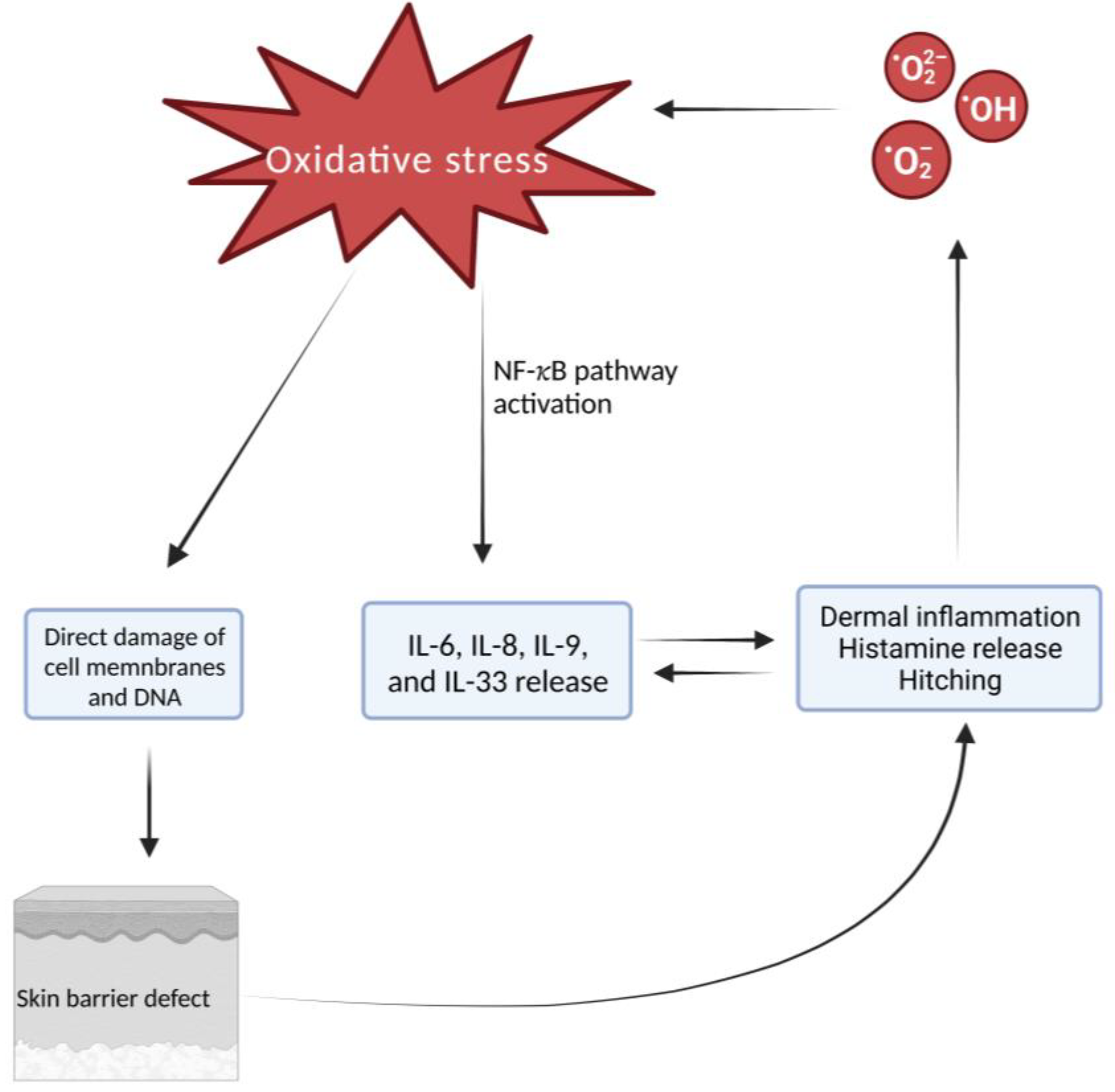 Biomolecules | Free Full-Text | Oxidative Stress and Phototherapy in ...