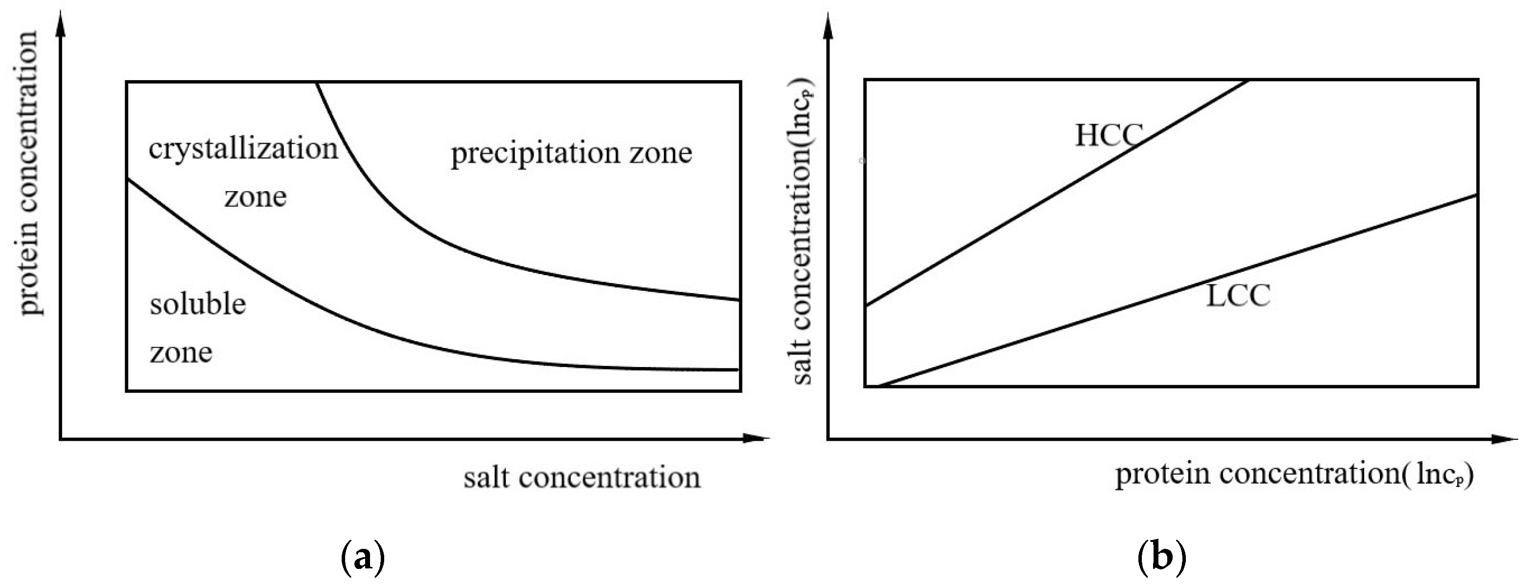 Liquid–Liquid Phase Separation Prediction of Proteins in Salt Solution ...