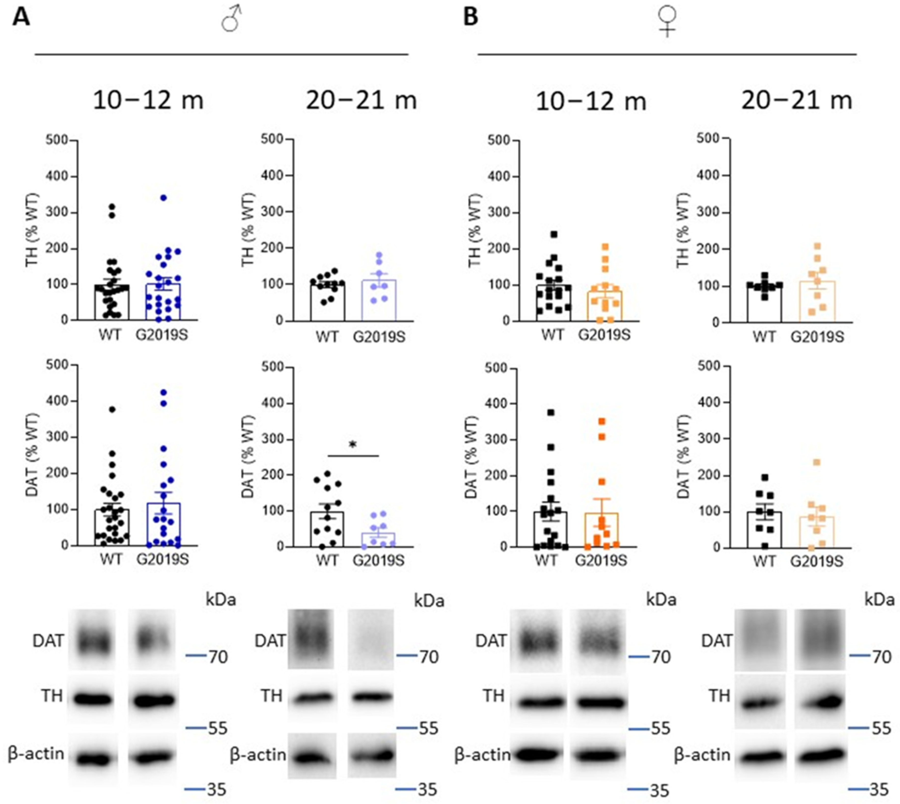 Biomolecules Free Full Text Age And Sex Dependent Behavioral And