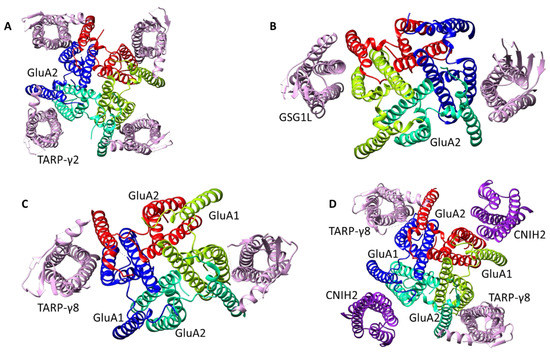 Diversity of AMPA Receptor Ligands: Chemotypes, Binding Modes ...