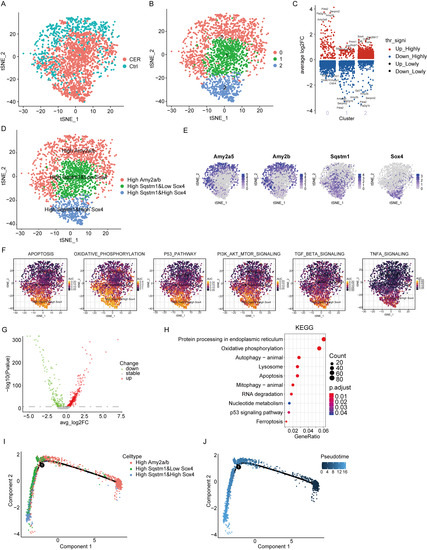 Integration of scRNA-Seq and Bulk RNA-Seq Reveals Molecular ...