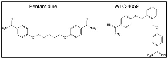 The Anti-Cancer Activity of Pentamidine and Its Derivatives (WLC-4059 ...