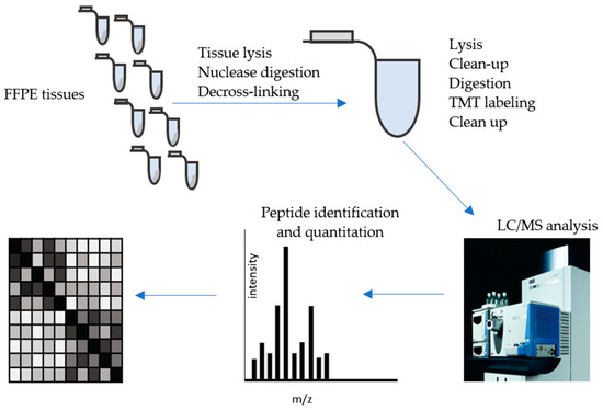 Biomarker Analysis of Formalin-Fixed Paraffin-Embedded Clinical Tissues Using Proteomics