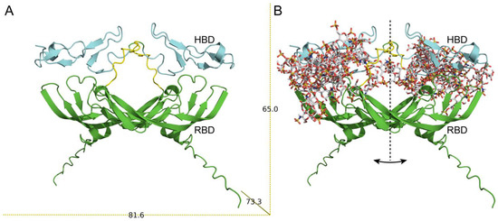 Heparin-Induced Changes of Vascular Endothelial Growth Factor (VEGF165 ...