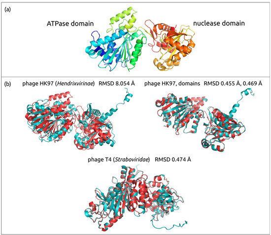 Use of an Integrated Approach Involving AlphaFold Predictions for the ...