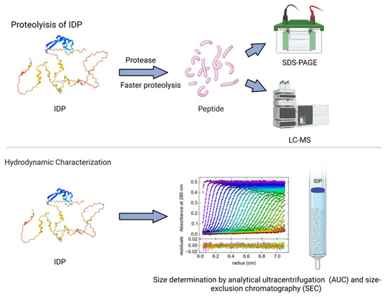 Illuminating Intrinsically Disordered Proteins with Integrative ...