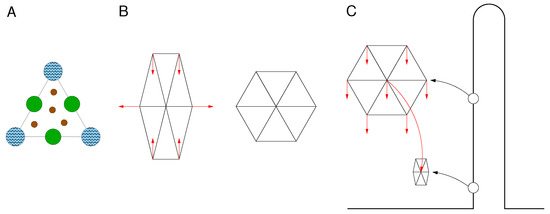 Energy Dissipation in the Human Red Cell Membrane
