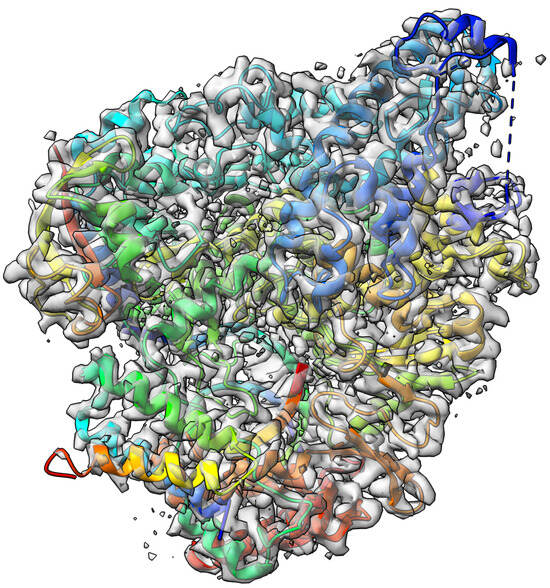 Improving Proteinligand Interaction Modeling With Cryo Em Data Templates And Deep Learning In