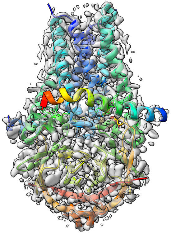 Improving Proteinligand Interaction Modeling With Cryo Em Data Templates And Deep Learning In