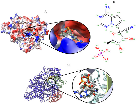 Improving Proteinligand Interaction Modeling With Cryo Em Data Templates And Deep Learning In