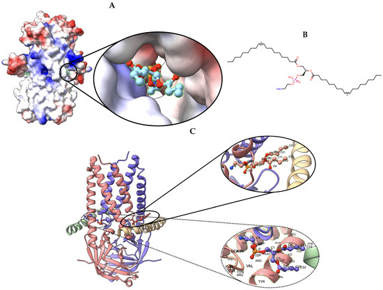 Improving Proteinligand Interaction Modeling With Cryo Em Data Templates And Deep Learning In