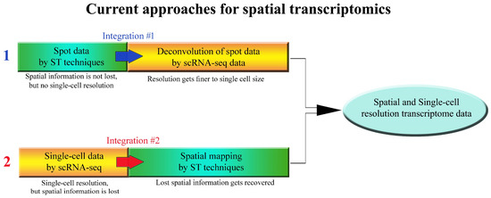 Advances and Challenges in Spatial Transcriptomics for Developmental ...