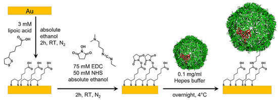 Charge Transport across Proteins inside Proteins: Tunneling across ...
