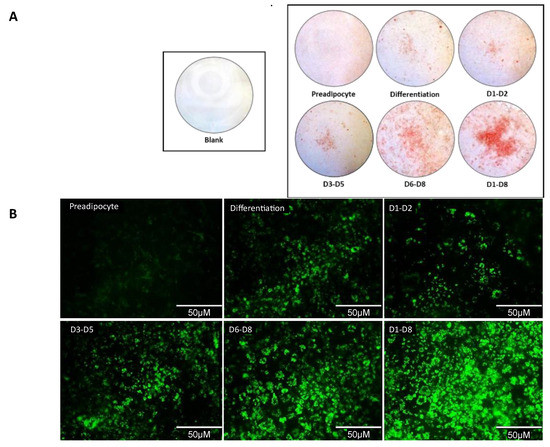 Chronic Exposure to Low-Molecular-Weight Polycyclic Aromatic ...