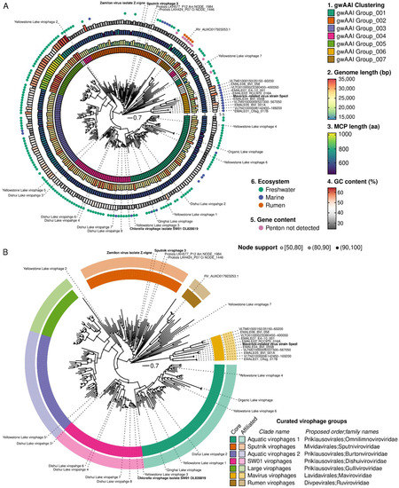 Updated Virophage Taxonomy and Distinction from Polinton-like Viruses
