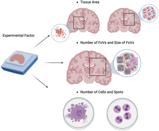 Statistical Power Analysis For Designing Bulk Single Cell And Spatial Transcriptomics