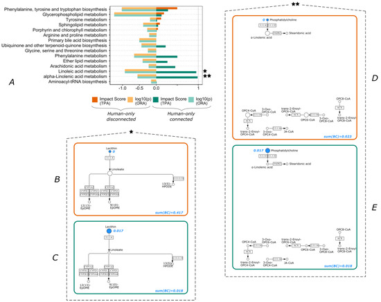 Metabolic Pathway Analysis: Advantages and Pitfalls for the Functional ...