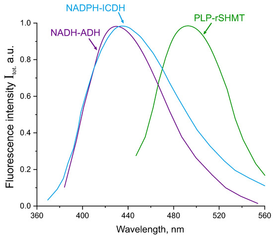 Two-Photon Excited Fluorescence of NADH-Alcohol Dehydrogenase Complex ...