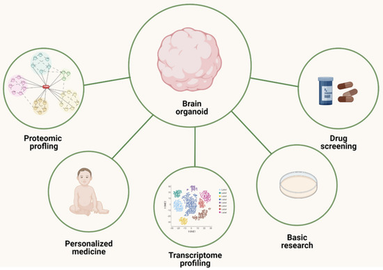 Modeling Autism Spectrum Disorders with Induced Pluripotent Stem Cell ...
